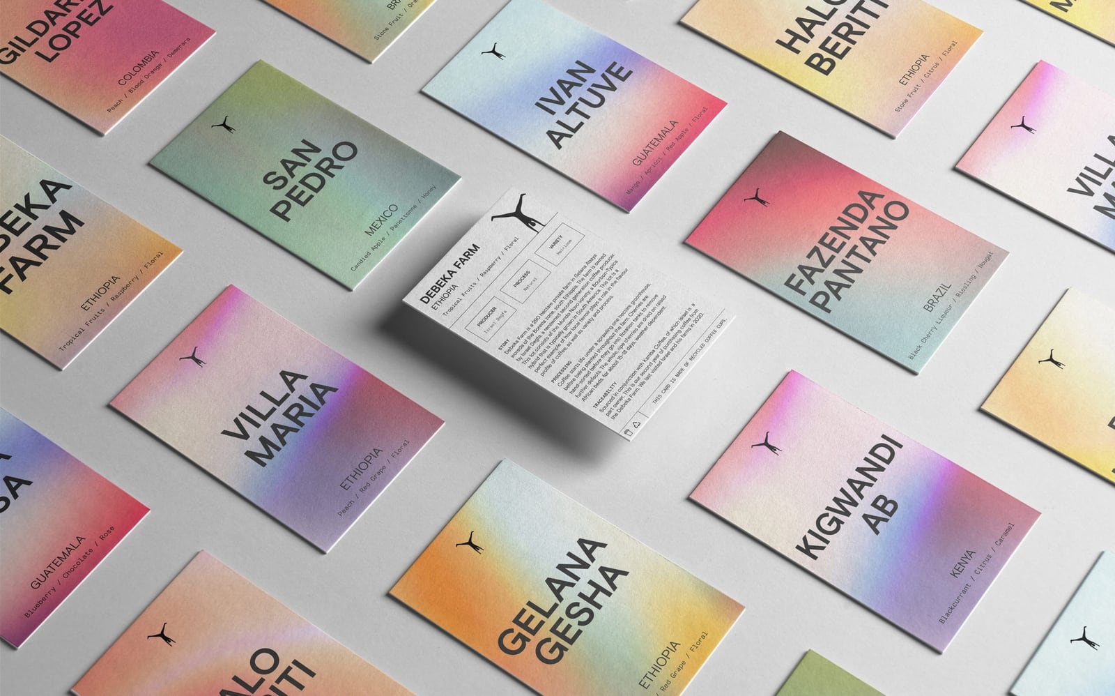 Studio Yoke | Design and Creative Branding Studio